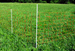 Electric netting & extra fiberglass posts photos.